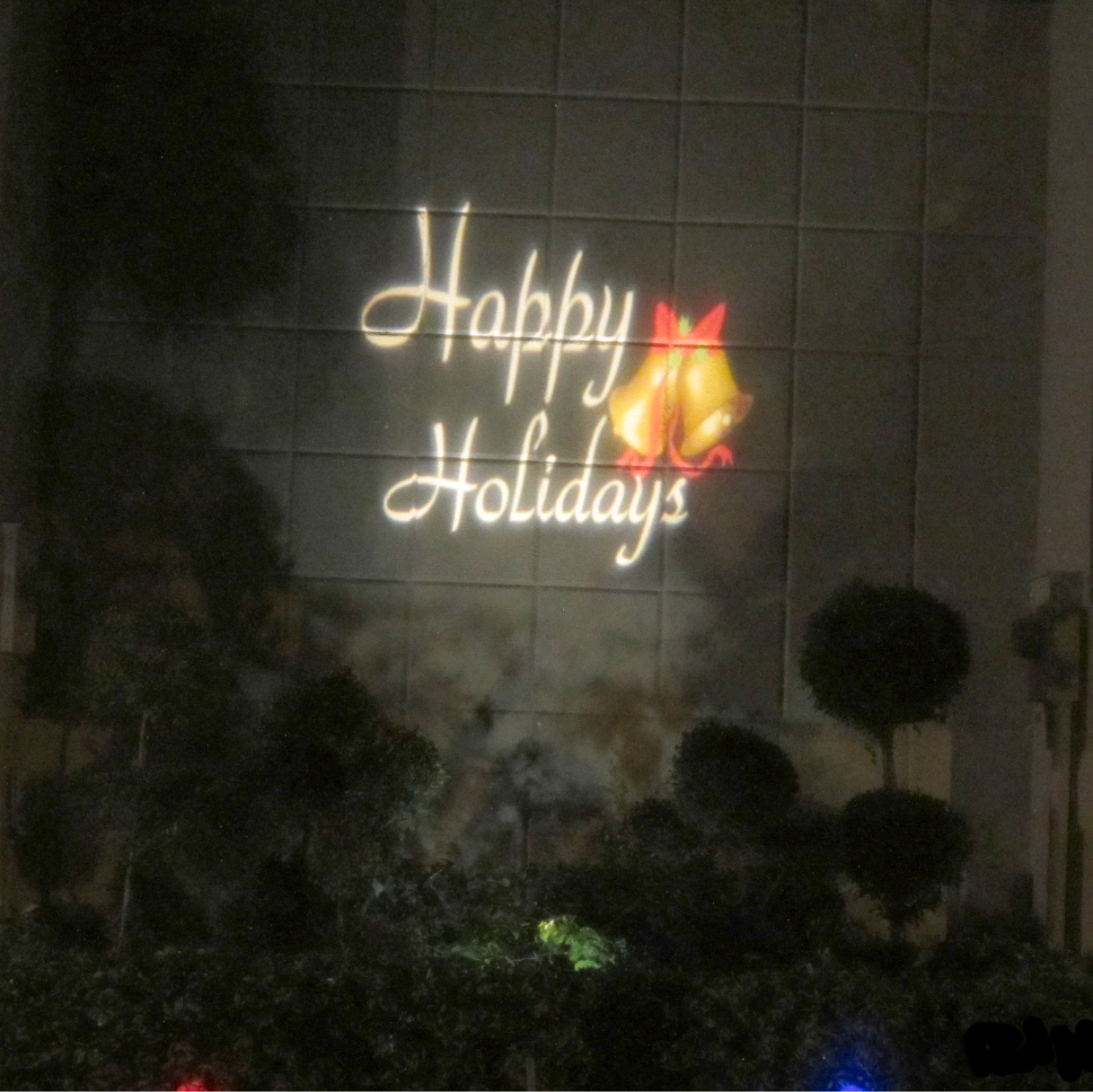 Indoor Holiday and Christmas Projectors by Raztech Lighting