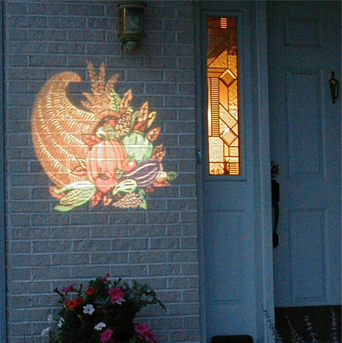 Indoor Holiday and Christmas Projectors by Raztech Lighting